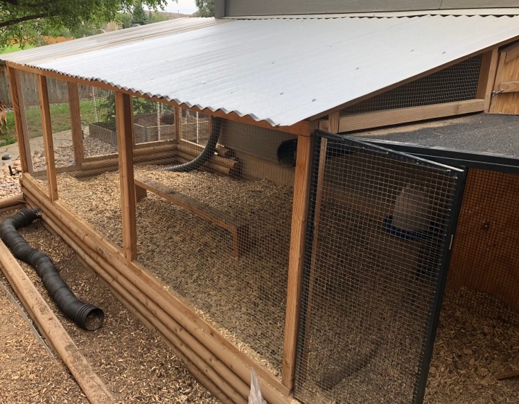 My favorite material to use for chicken runs – The 1912 Homestead