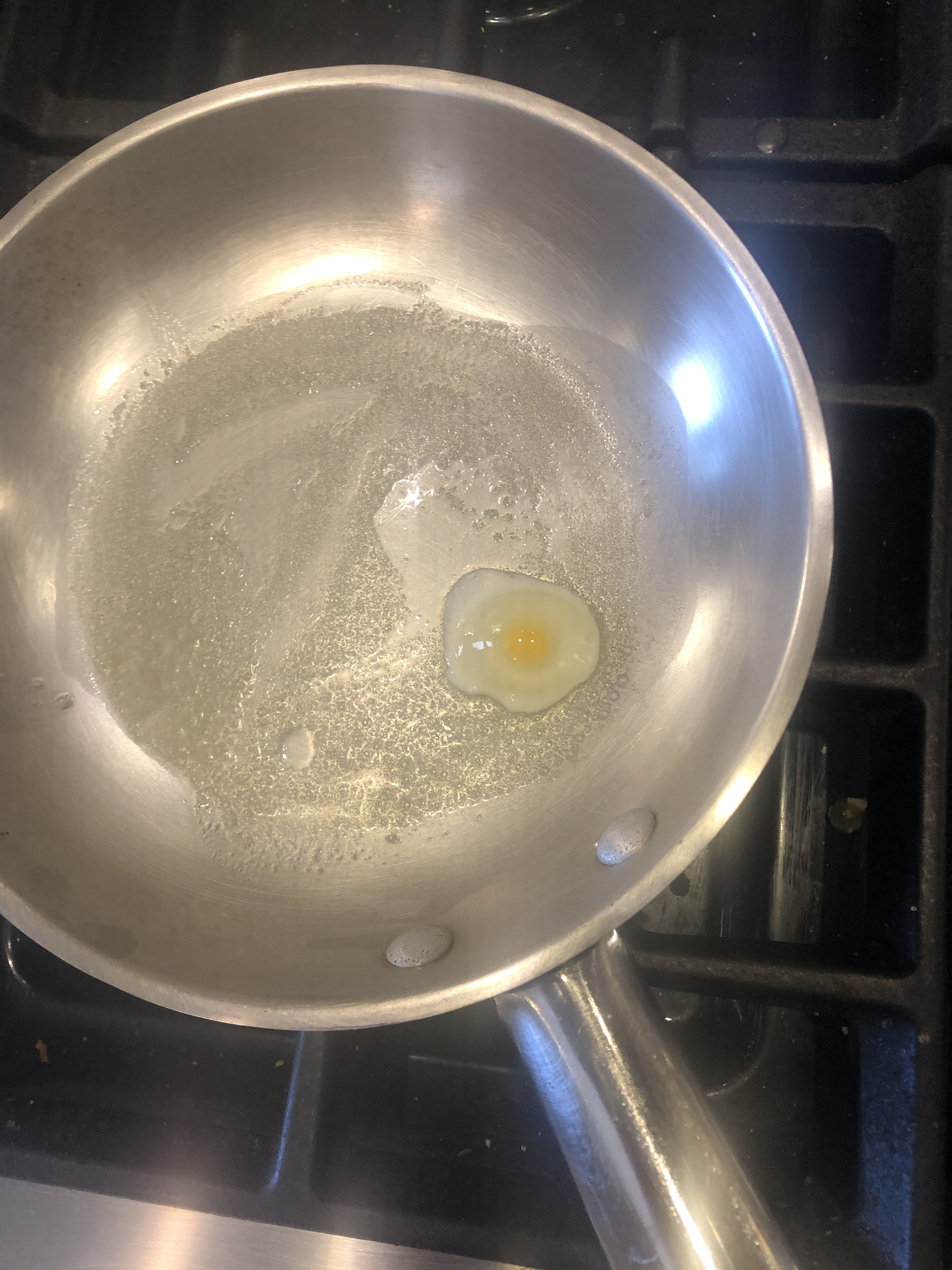 Everything that you need to know about a fairy egg – The 1912 Homestead