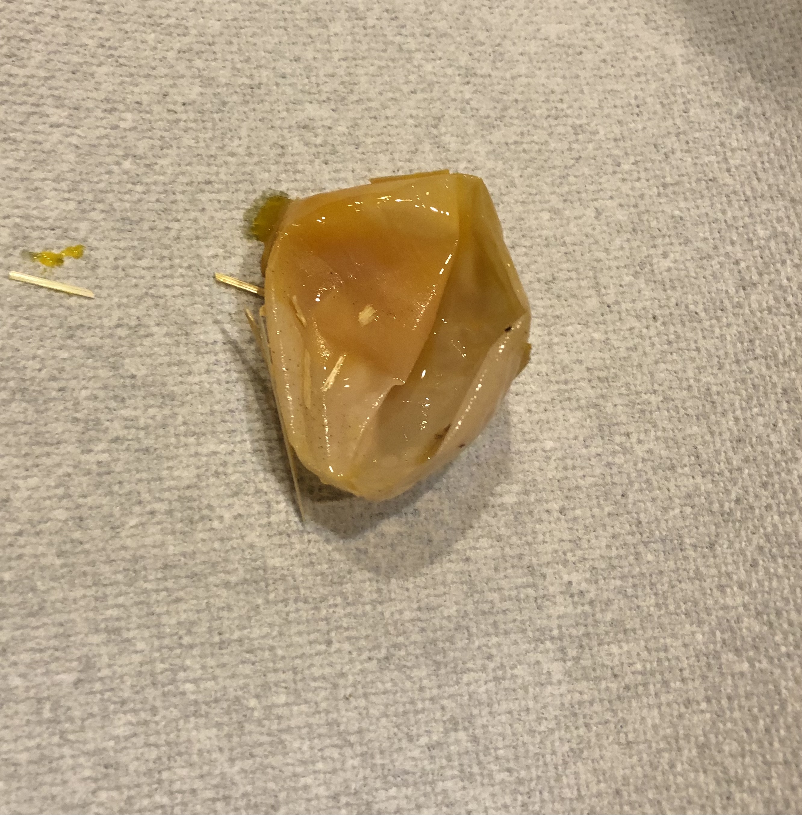 All you need to know about a shell-less egg – The 1912 Homestead